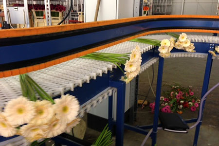 Scanbelt - Modular Plastic Conveyor Belts - Flower belt