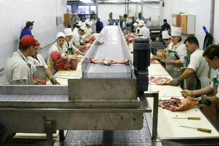 Scanbelt - Modular Plastic Conveyor Belts - Belt for cutting/trimming