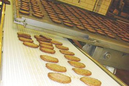 Scanbelt - Modular Plastic Conveyor Belts - Cooling and freezing of beef