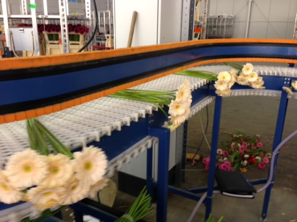 Flower Transportation System | Best Flower Site
